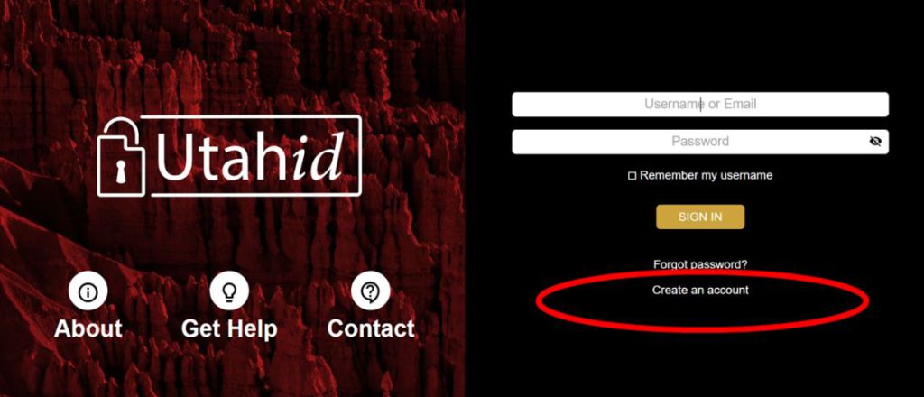 USIIS Updates | Immunize